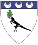 The tale of the Magpie, and the Two Vikings | Conall's Herald Tales